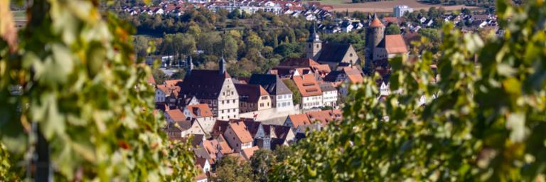 Weinerlebnisführungen | Besigheim